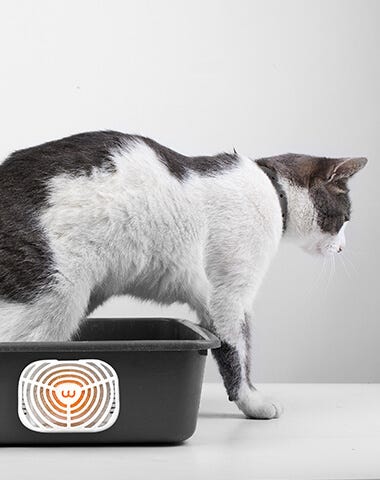 Explore OdorTrap™ by Whisker | Litter Box Odor Eliminator | Litter-Robot