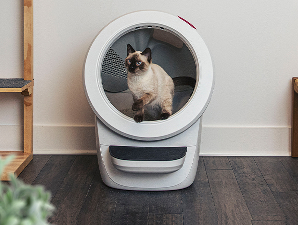 Litter-Robot 3 vs Litter-Robot 4 Comparison Chart | Litter-Robot