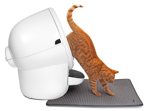 Litter-Robot 4 | Smart, Self-Cleaning Litter Box