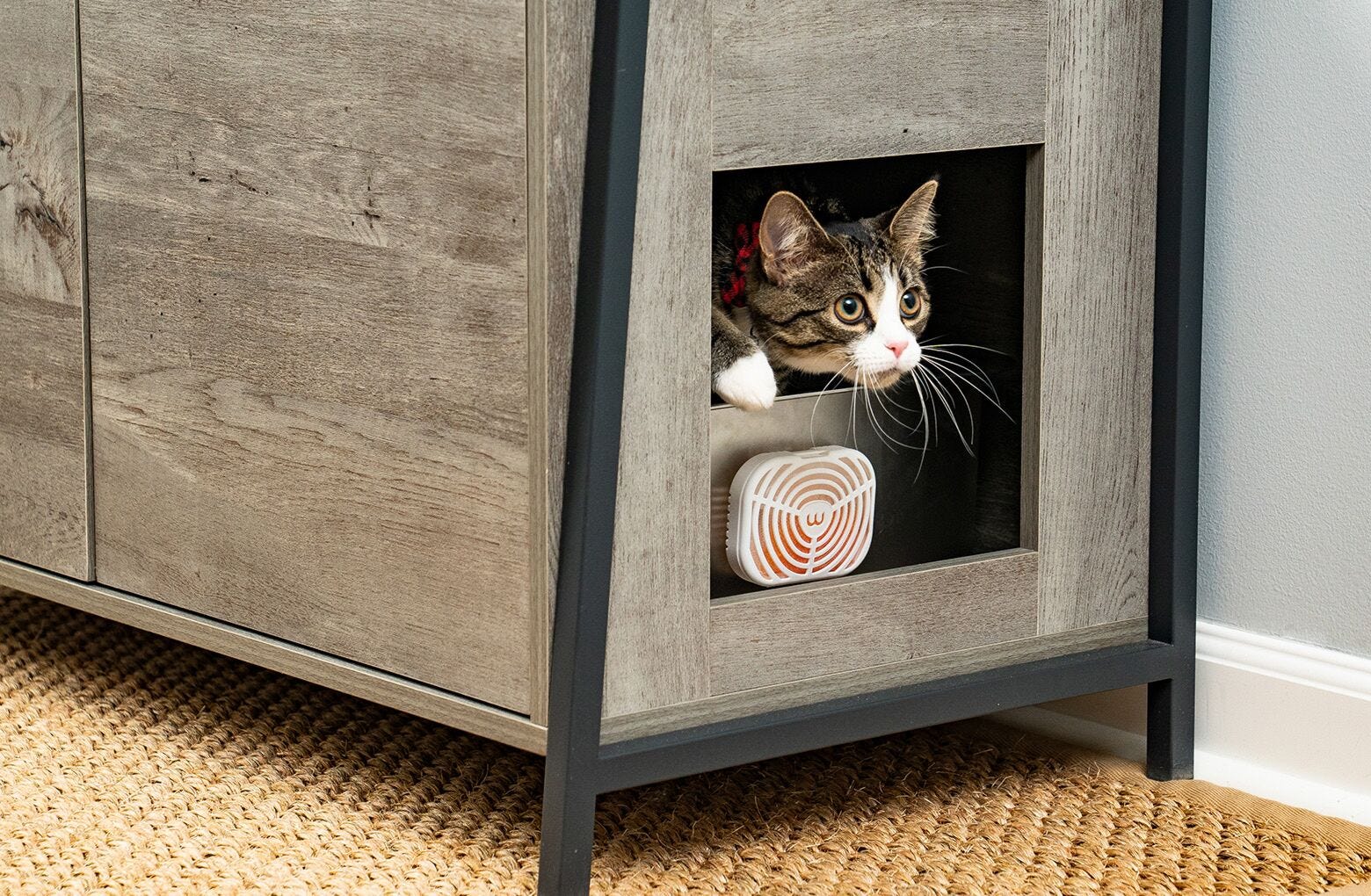 OdorTrap® Pod Holder | Litter Box Odor Eliminator Litter-Robot