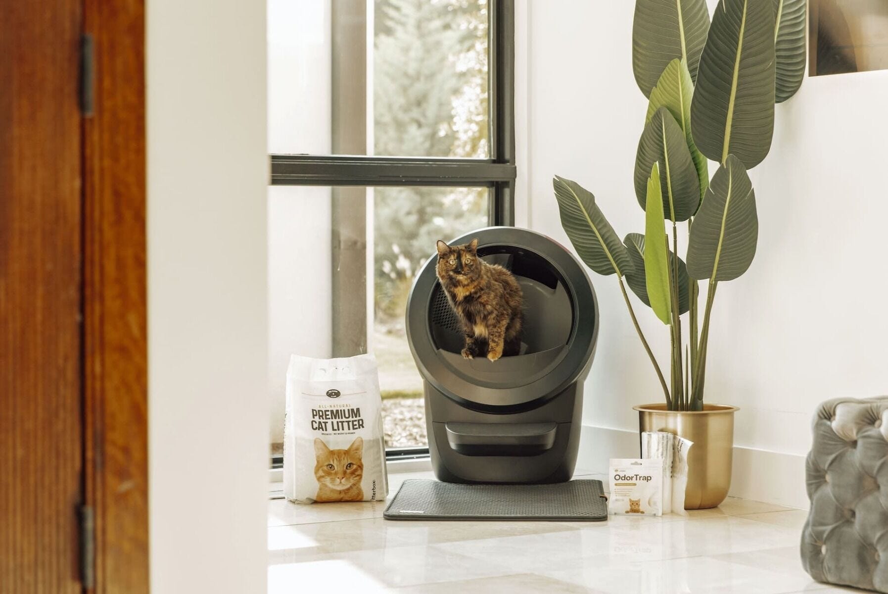 Litter-Robot 4 Starter Bundle - Top Accessories Included