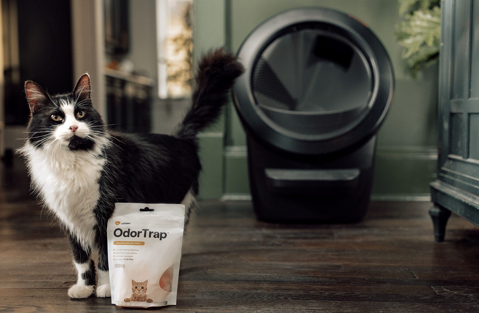 OdorTrap® Packs | Cat Litter Box Odor Eliminator