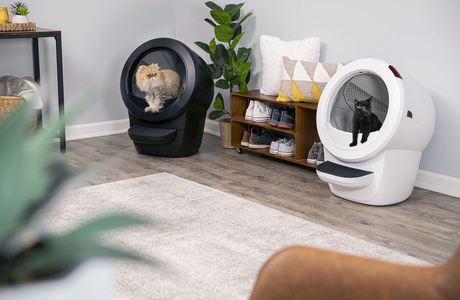 Litter-Robot 4 Double Bundle | Save $50