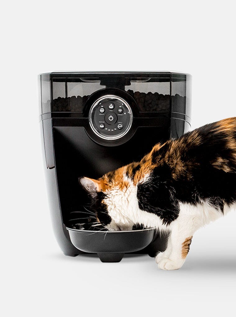 Litter-Robot 4 & Feeder-Robot | Connected Home Bundle