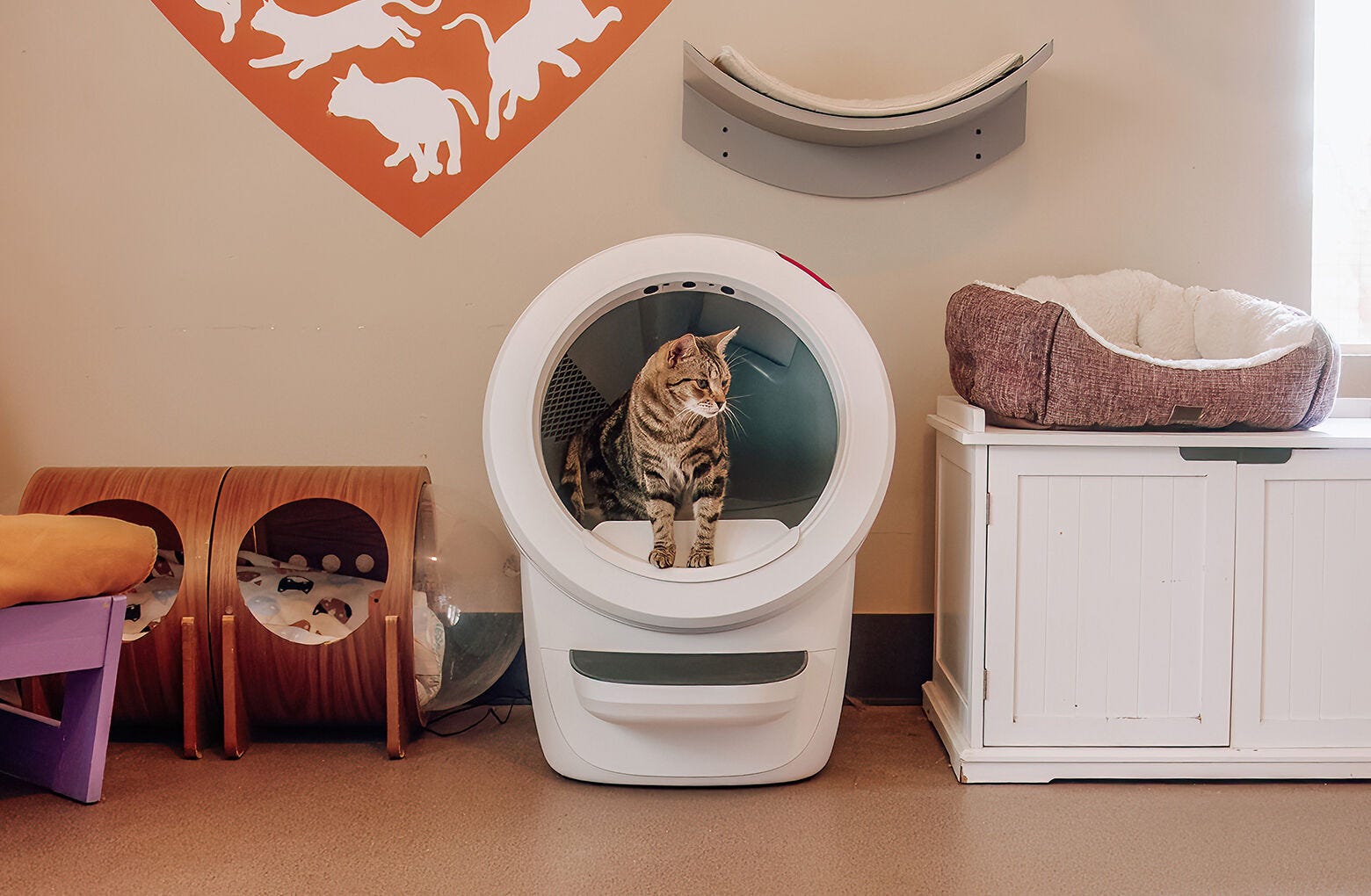 Litter-Robot 4 Best Friends Bundle | Save Money and save cats!