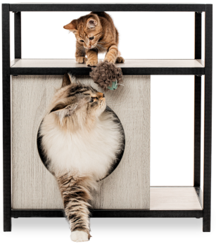 Modern Cat Furniture & Litter Box Furniture | Litter-Robot