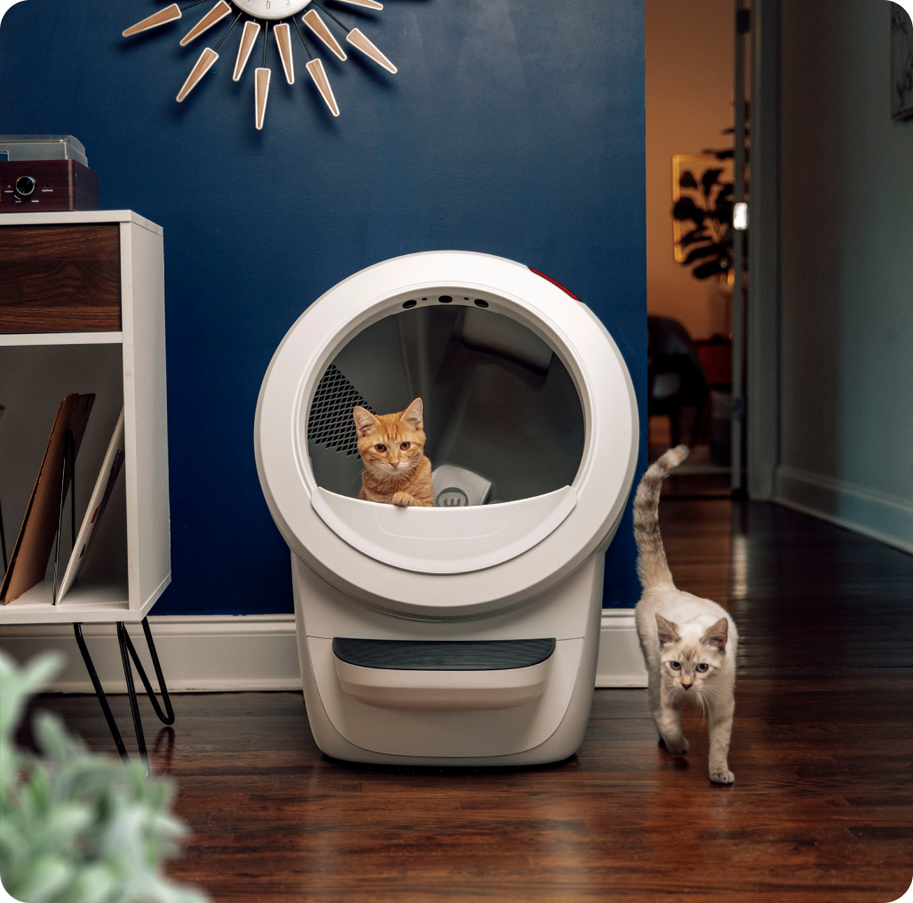 Automatic, Self-Cleaning Litter Box for Cats | Litter-Robot