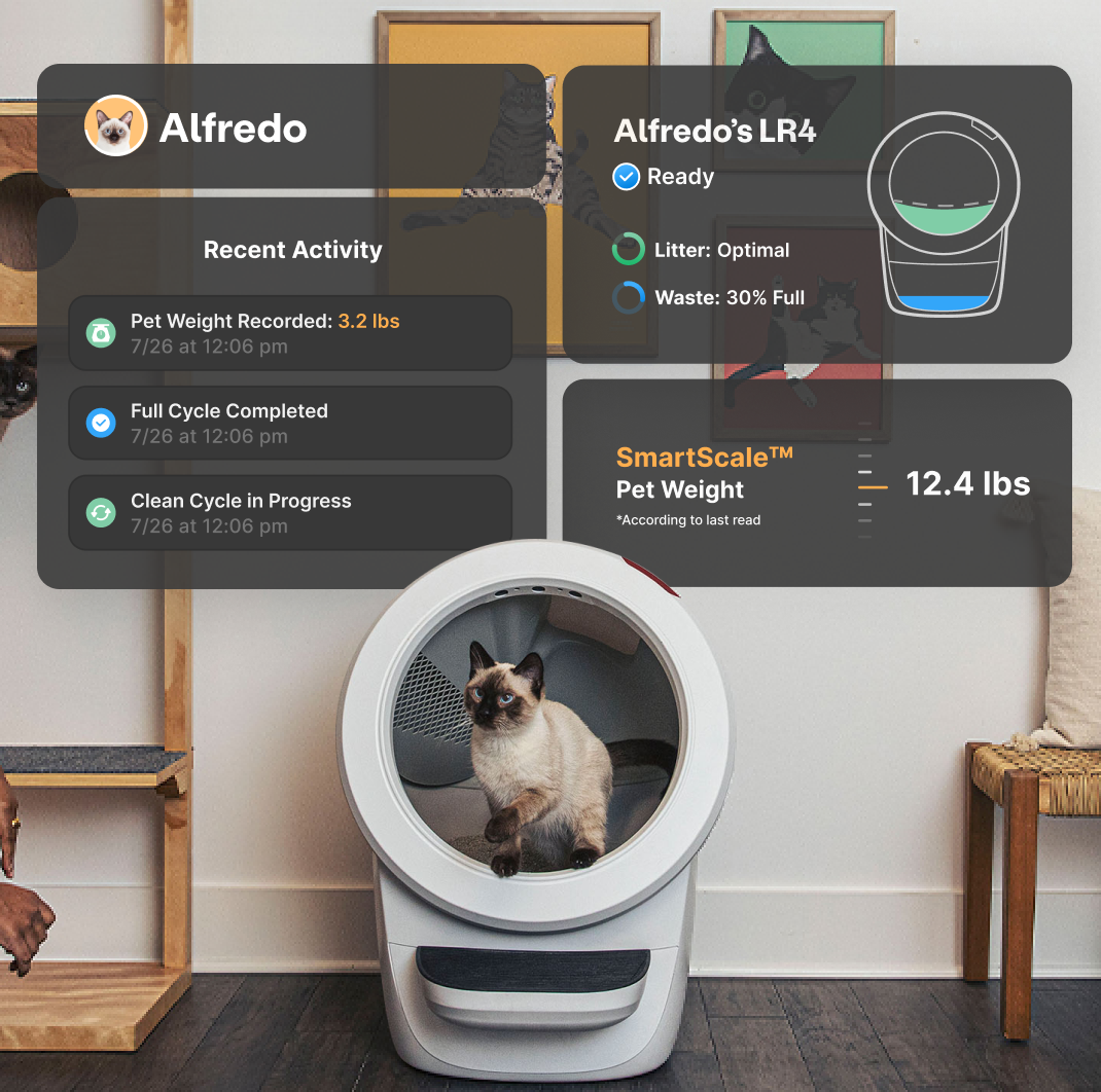 Automatic, Self-Cleaning Litter Box for Cats | Litter-Robot