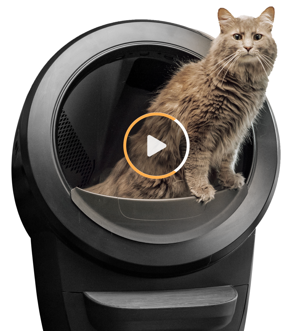 Automatic, Self-Cleaning Litter Box for Cats | Litter-Robot