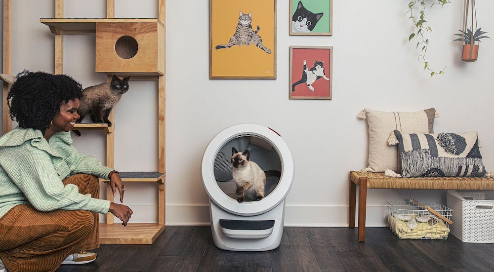 Cat Decor Tips: Cat-Proof Furniture, Hidden Litter Boxes & More