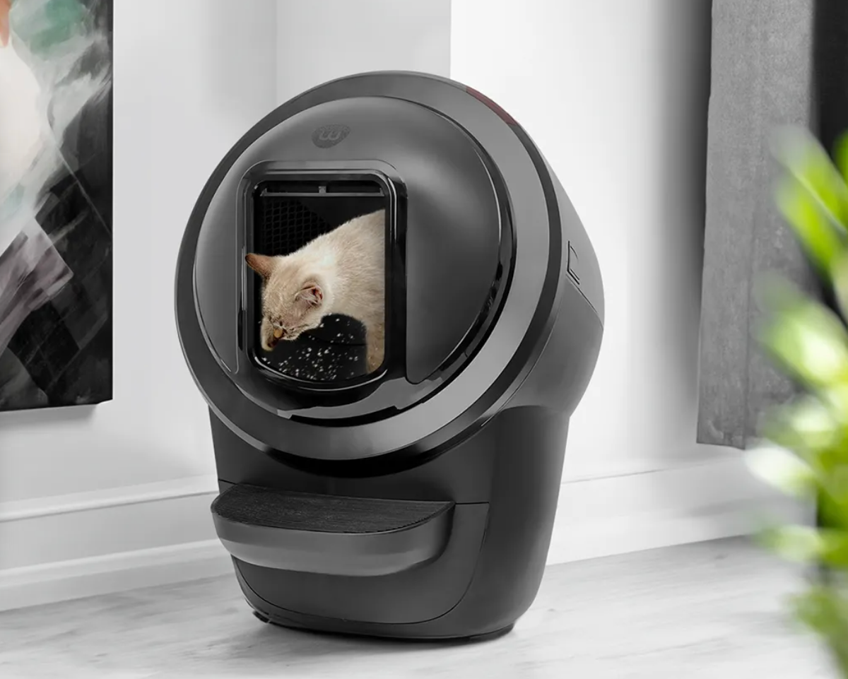 The Best Litter Box for Messy Cats - What To Look For