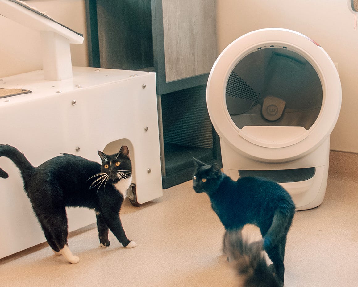 Litter-Robot 4 Best Friends Bundle | Save Money and save cats!