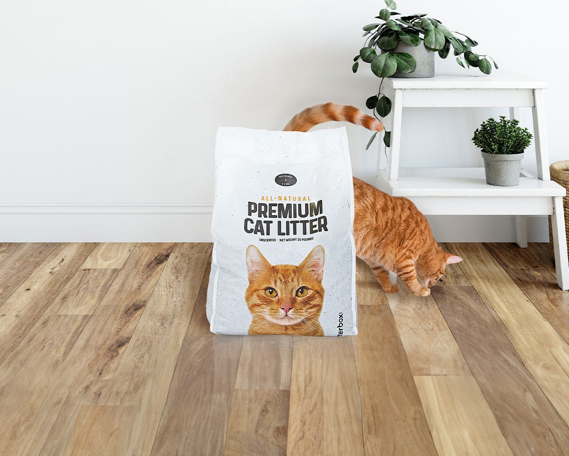 GreatLitter®: Low-Dust, Low-Tracking Cat Litter