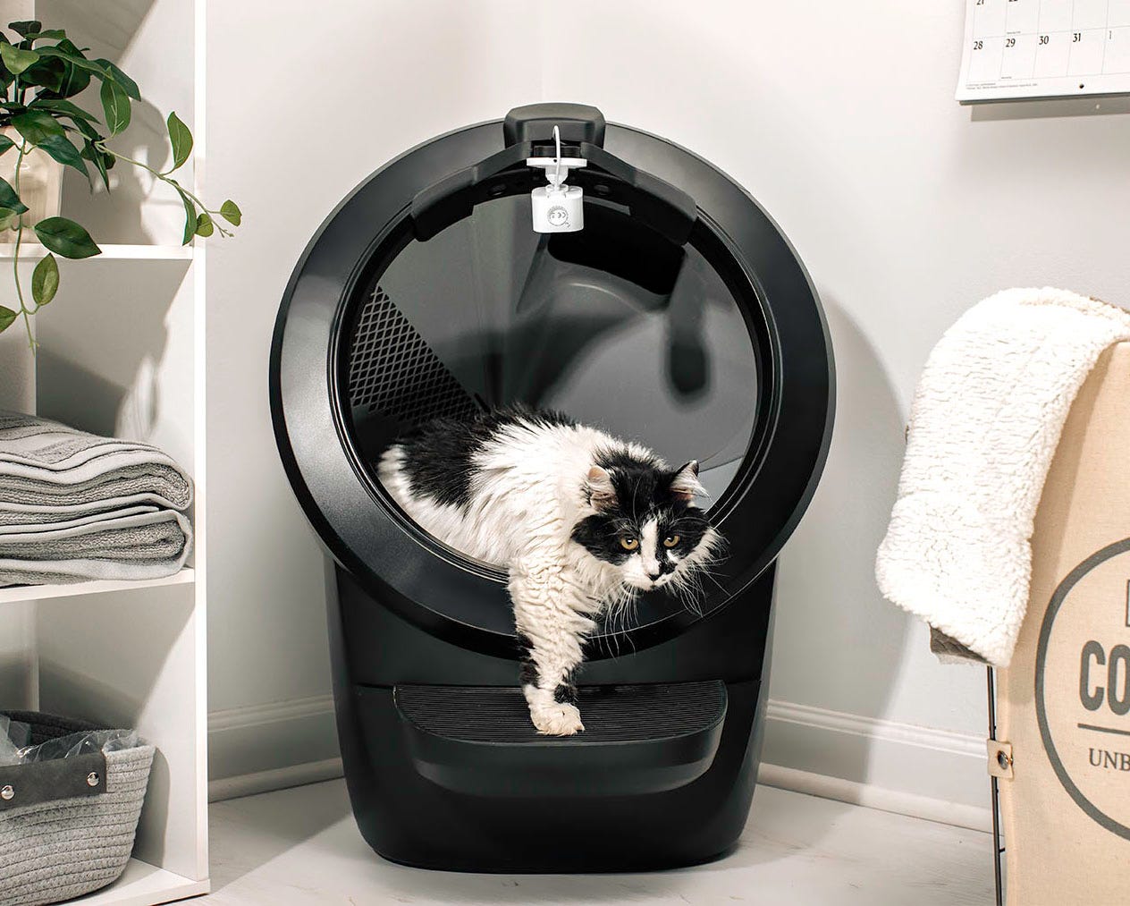 Litter-Robot 4 Camera Mount | Litter Box Accessories