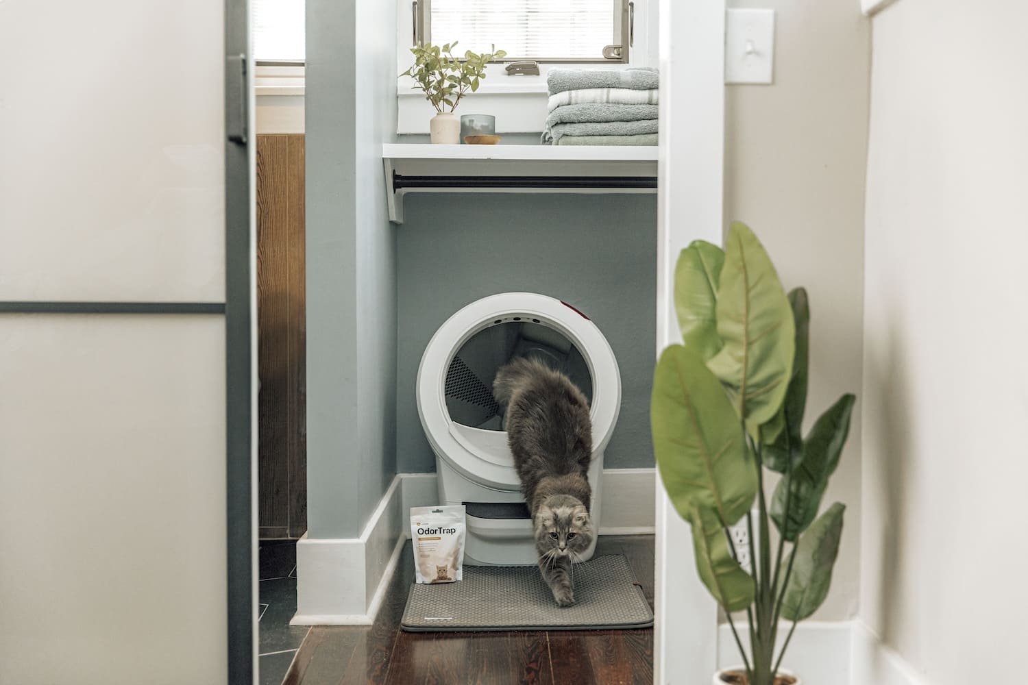 Litter-Robot 4 Trap Bundle | Reduce Litter Tracking & Odors