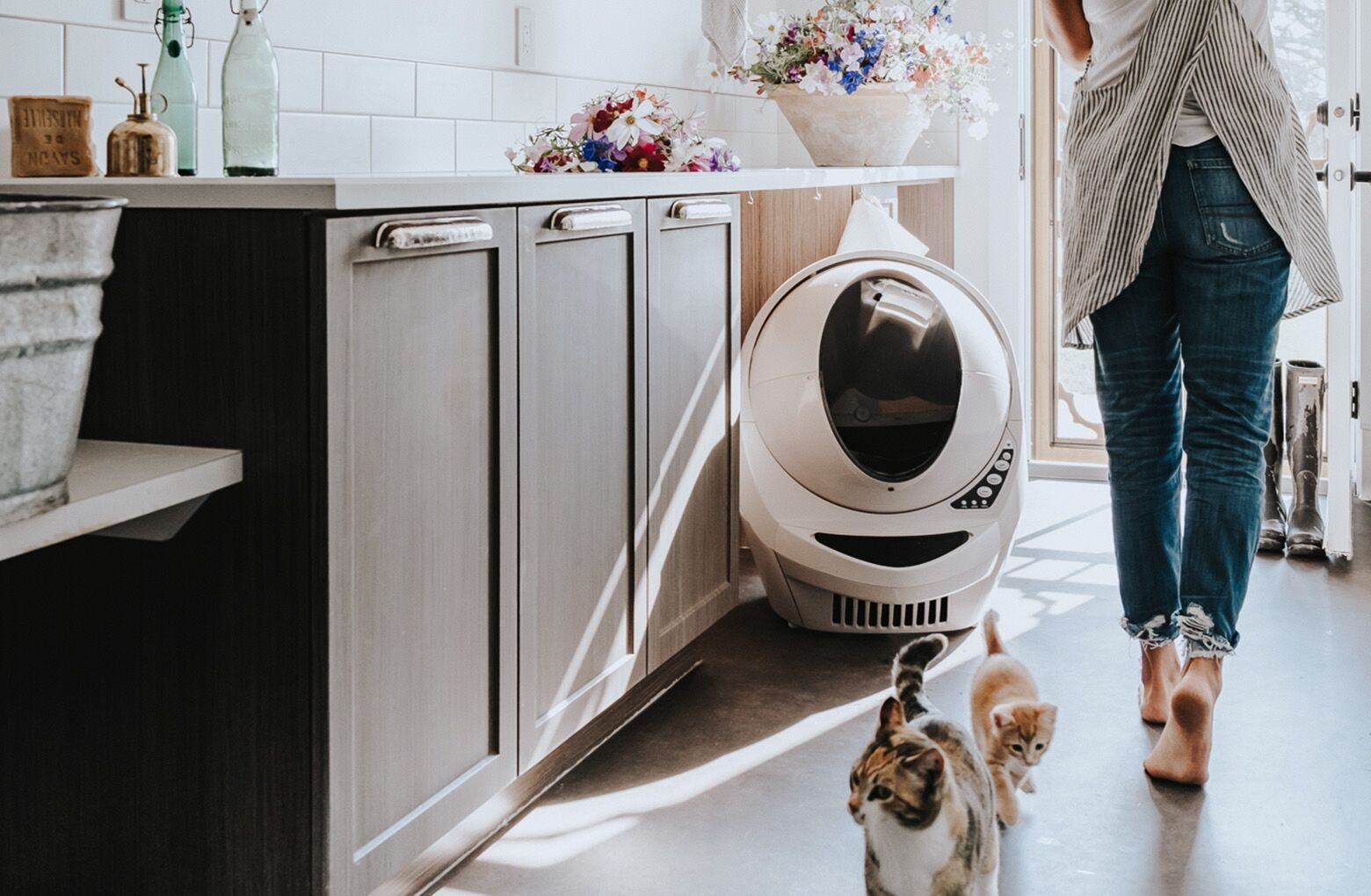 Litter-Robot 3 Connect | Self-Cleaning, Smart Litter Tray