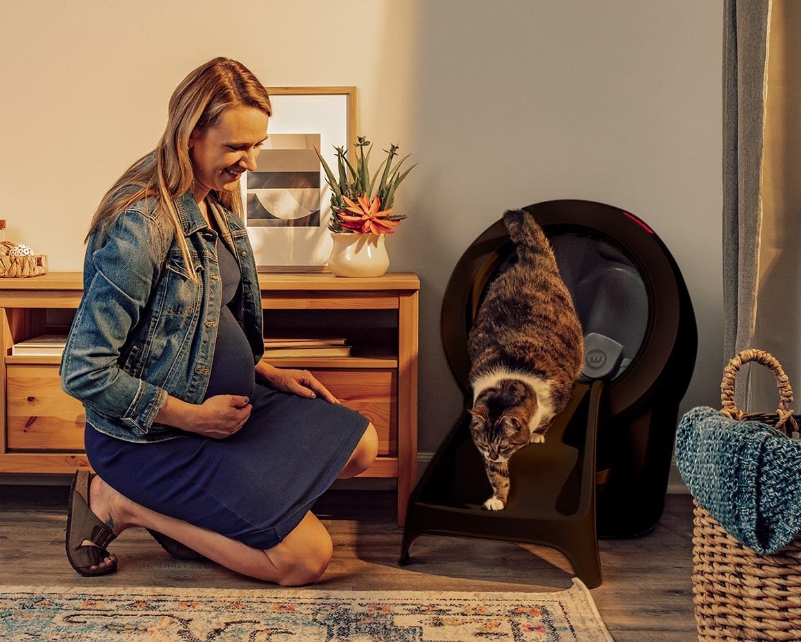 Litter-Robot 4 Ramp - Litter-Robot Stairs For Easy Access