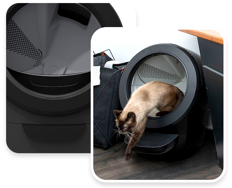 Litter-Robot 4 | Smart, Self-Cleaning Litter Box